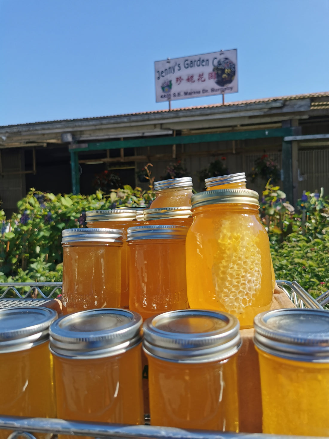 JENNY'S GARDEN HONEY – JENNY'S GARDEN HONEY