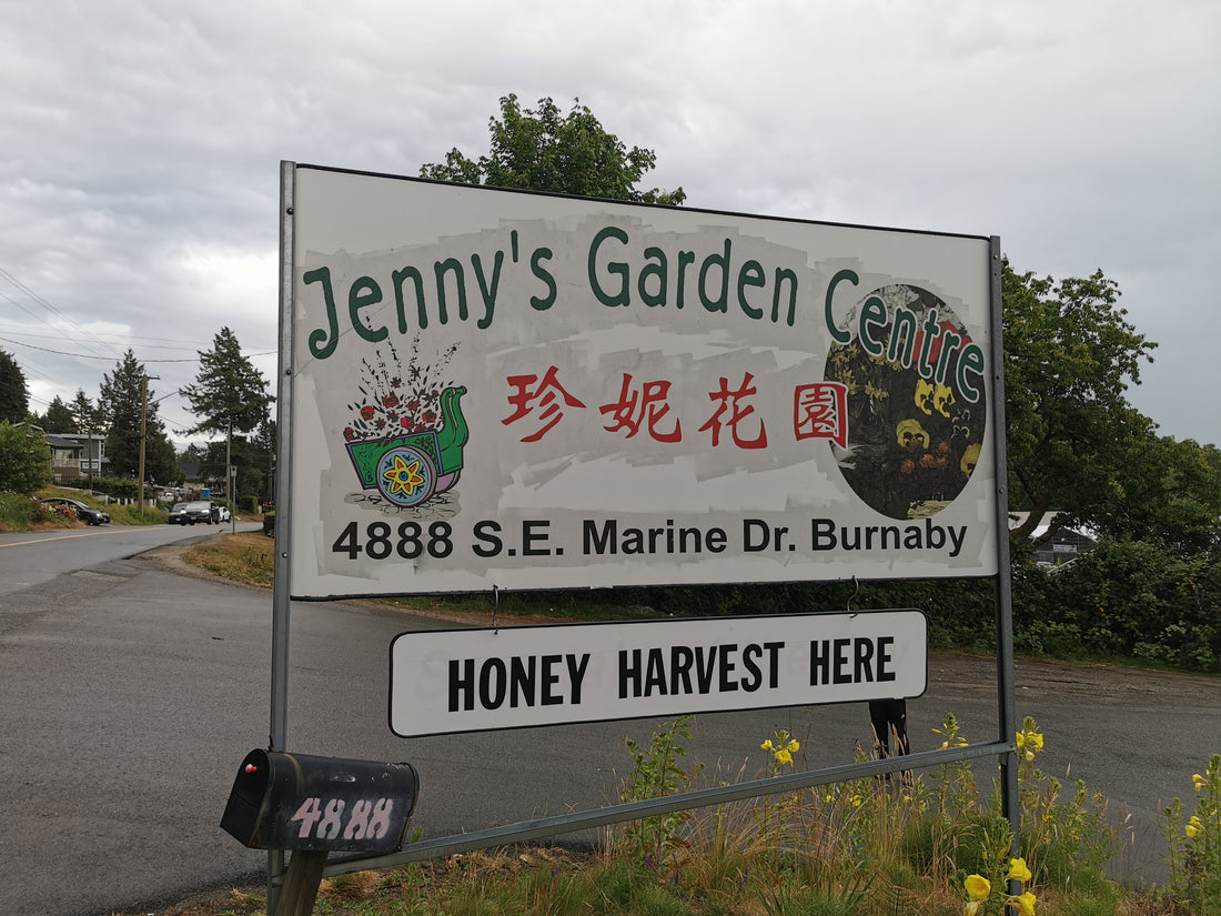JENNY'S GARDEN HONEY – JENNY'S GARDEN HONEY